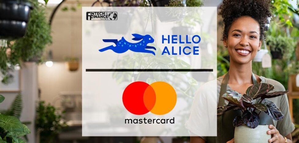 Hello Alice launches best-in-class small business credit card with ...