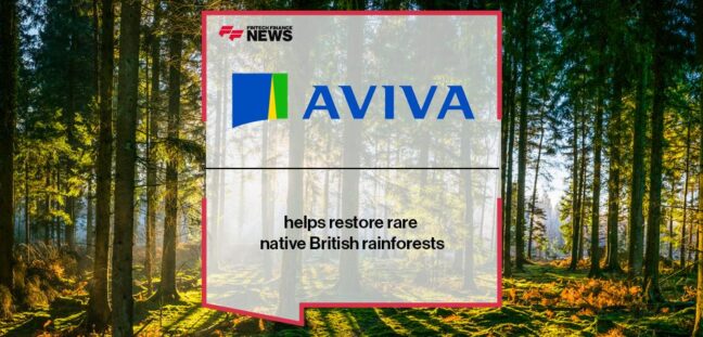 Aviva helps restore rare native British rainforests